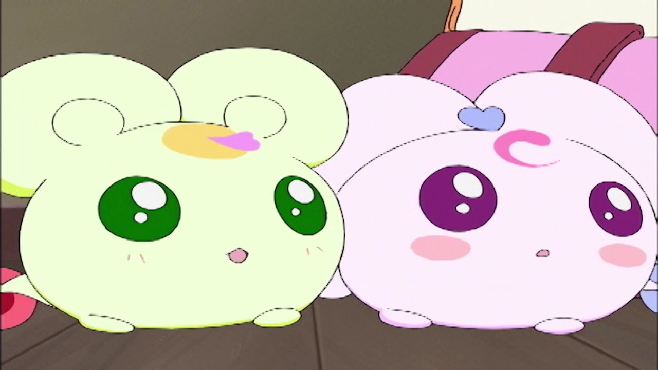 프리큐어 splash star 25화 - YouTube