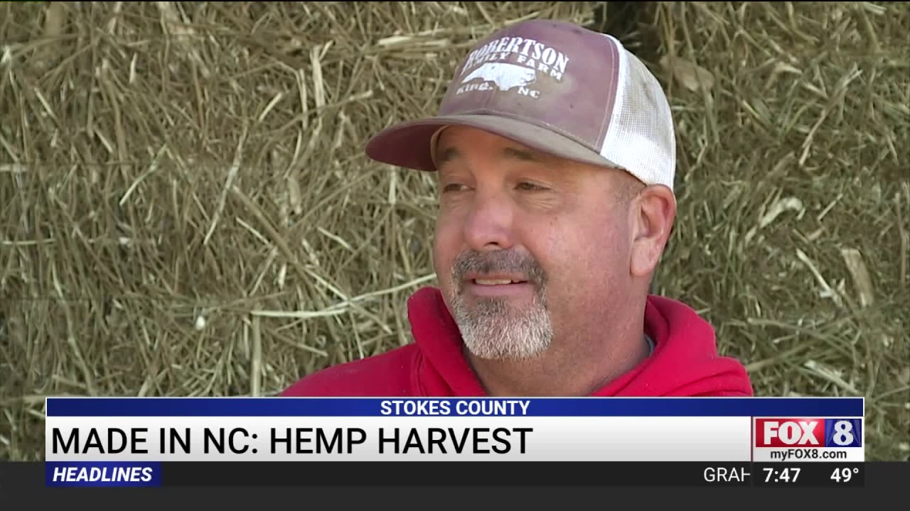 11,500 acres of hemp grows on farms across North Carolina, including ...