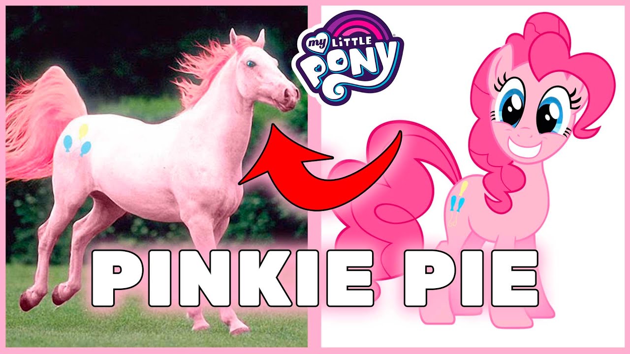 2020 My Little Pony All Characters IN REAL LIFE! Fluttershy, Applejack ...