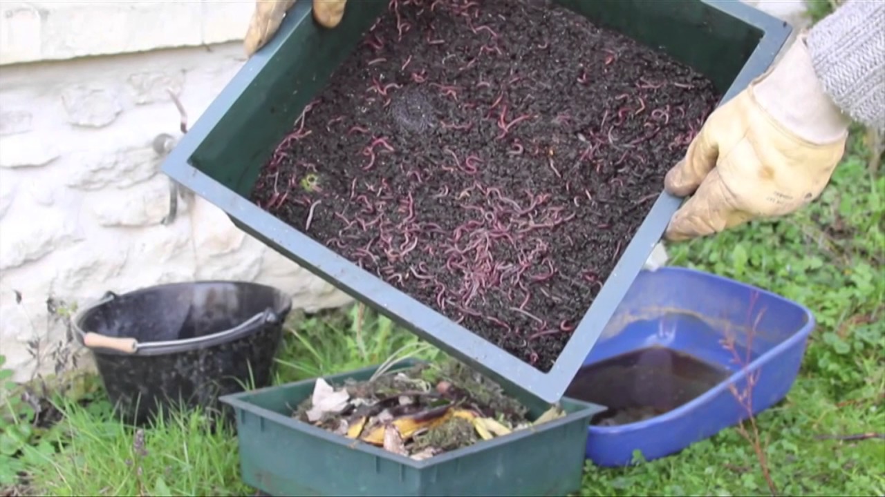 World of Chiottes: toilettes sèches - YouTube