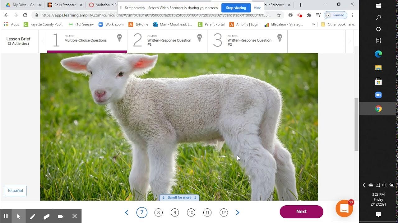 Amplify Traits and Reproduction Test - YouTube