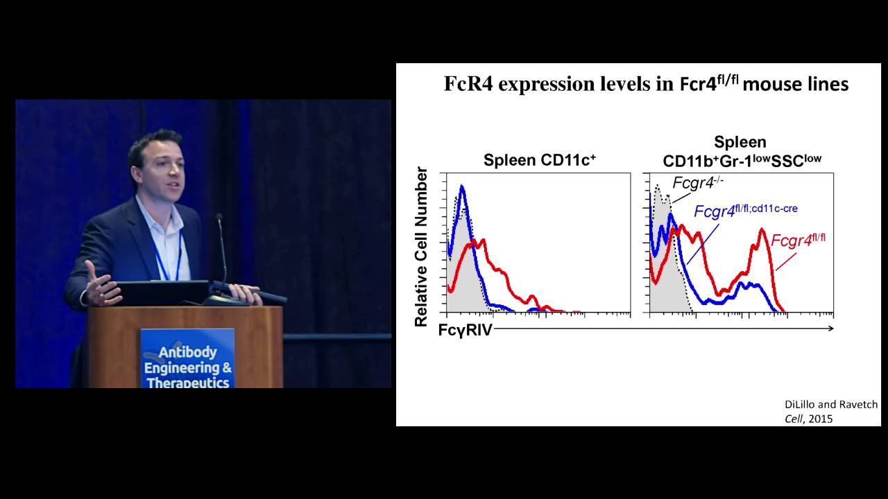 David DiLillo: "Differential Fc-Receptor Engagement Drives an Anti ...