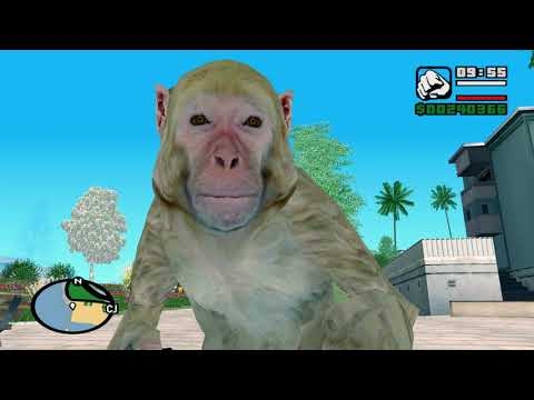 Monkey (V1) / GTA SA - YouTube
