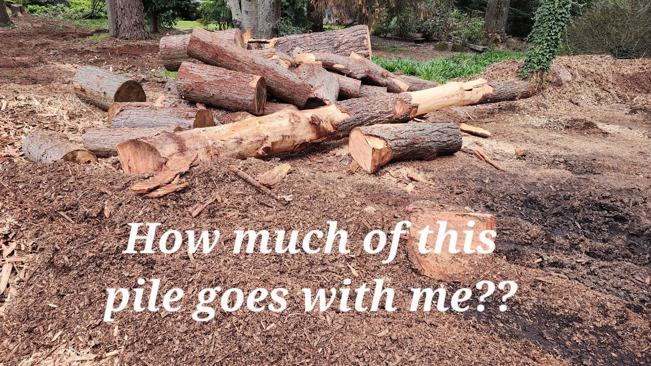 On Location Picking up Douglas Fir & Hemlock Firewood Rounds - YouTube