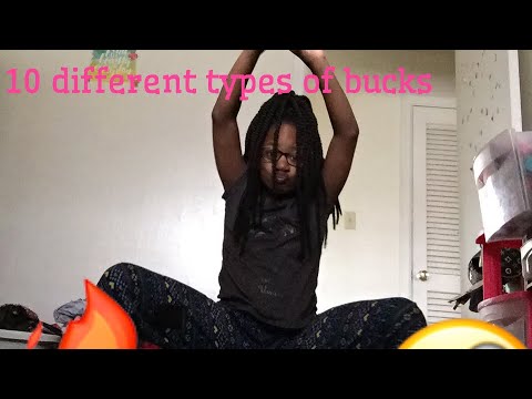 10 Different Types Of Bucks - YouTube