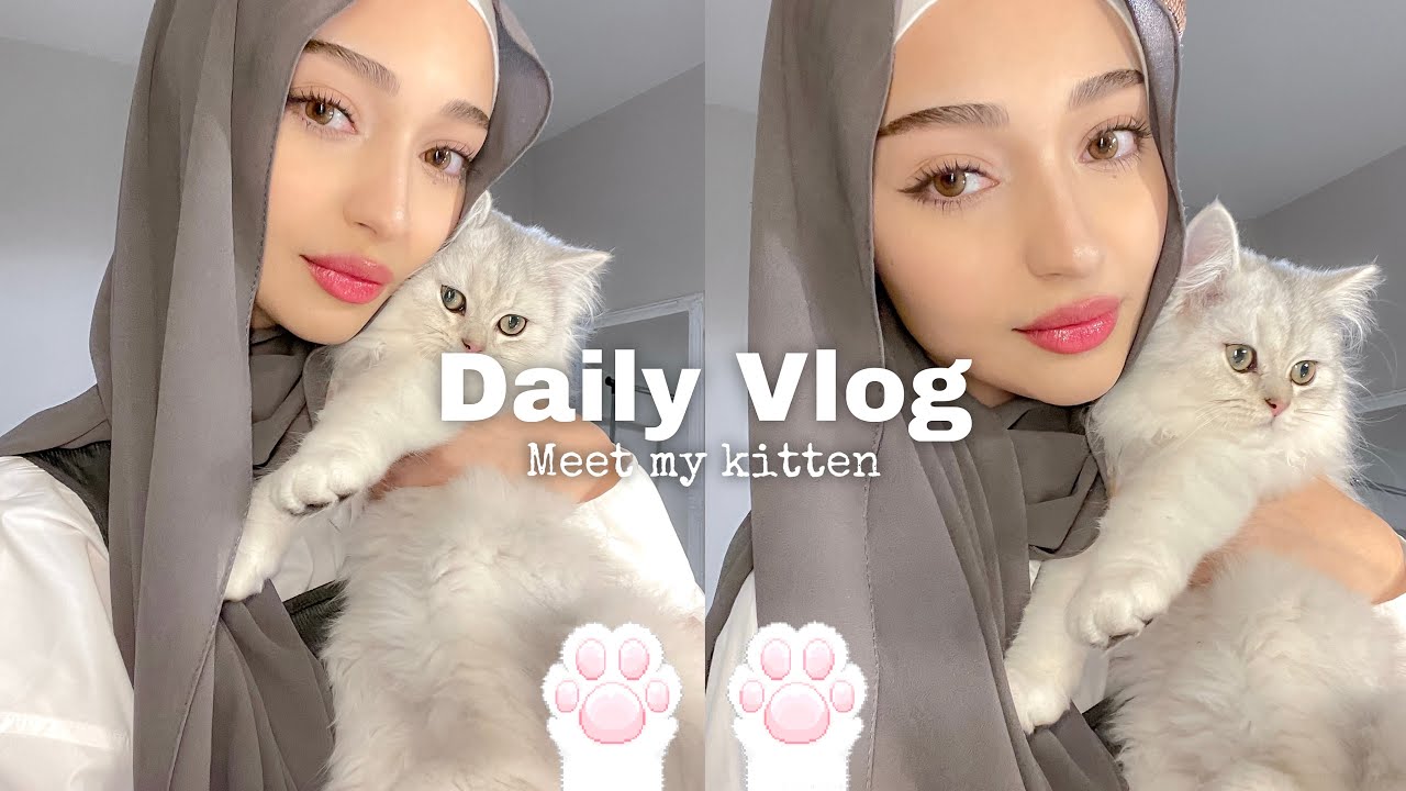[VLOG] I GOT A KITTEN!!🤍🐾 - YouTube