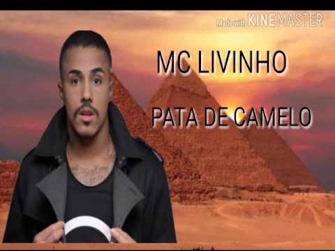MC Livinho - Pata de Camelo (Perera DJ/DJ LK)