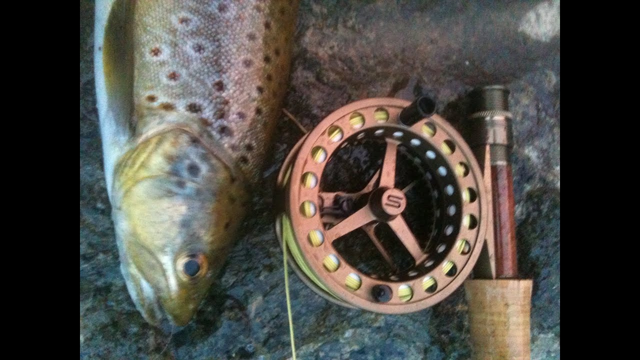 Fishing Life Apollo Bay Part 2 - YouTube