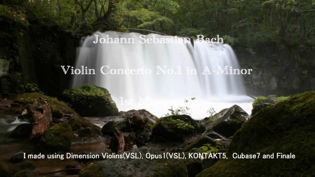 Bach Violin Concerto No.1 in A-Minor (1st Movement) - YouTube