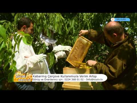 KÖYDE ARICILIK - 27.07.2017 - 1.BÖLÜM