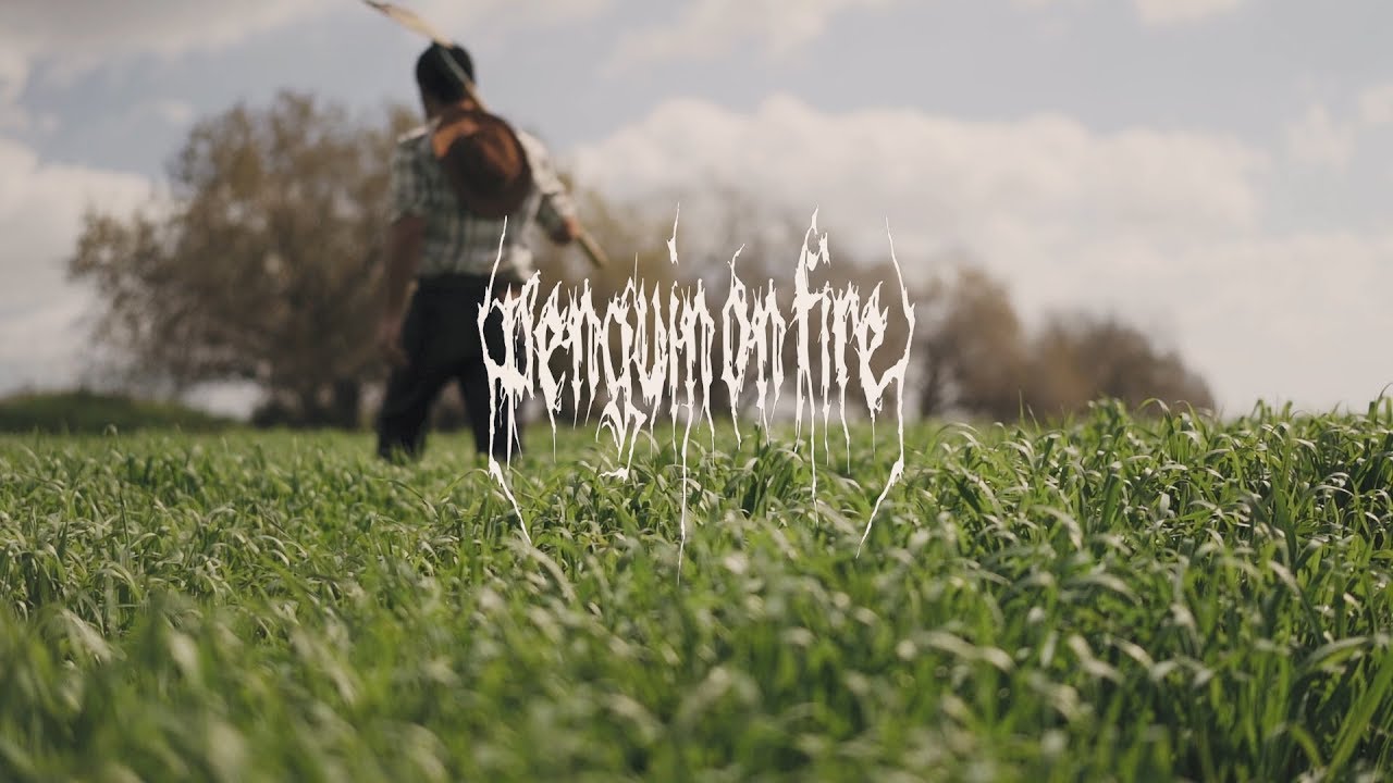 PENGUIN ON FIRE - TRACTOR [OFFICIAL MUSIC VIDEO] (2019) SW EXCLUSIVE ...