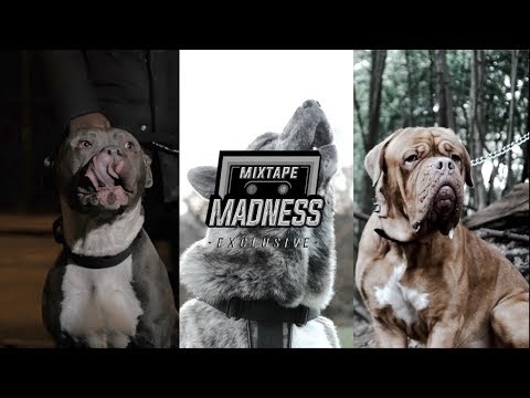 #OFB SJ x BandoKay x Double Lz - Purge (Music Video) | @MixtapeMadness