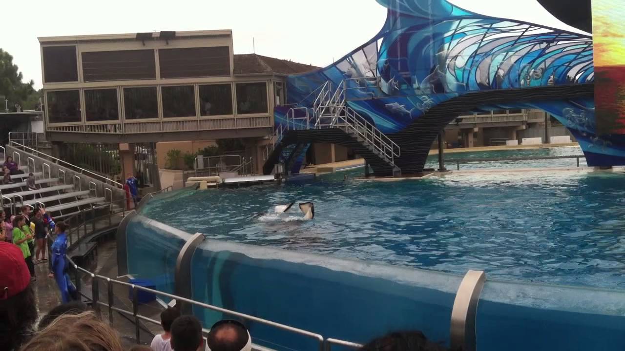 The Soak Zone, Sea World San Diego - YouTube