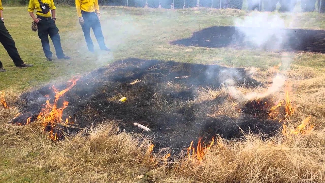 FI 110 Wildland Fire Investigator Live Fire Burn - YouTube