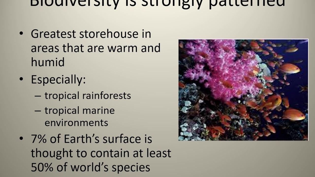 Lecture 20 Conservation Environmental Management YouTube lecture-20-conservation-environmental-management-youtube