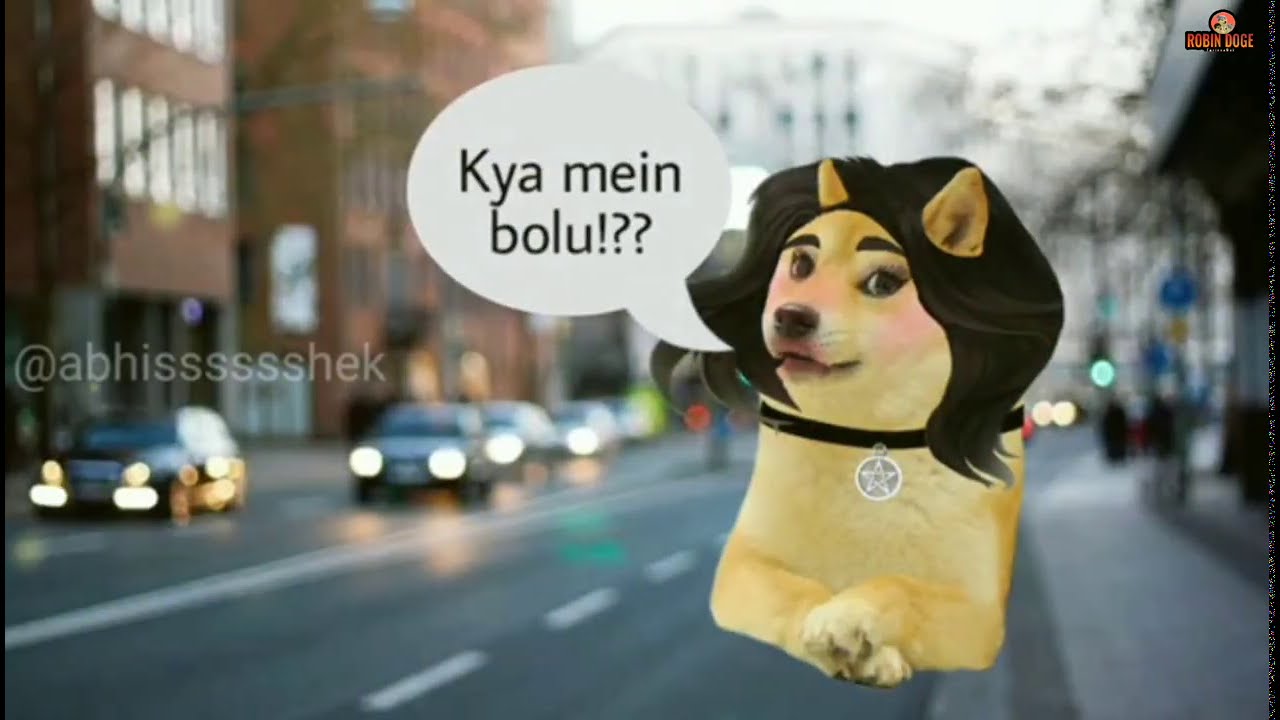 Short video 4 || ROBIN DOGE || - YouTube