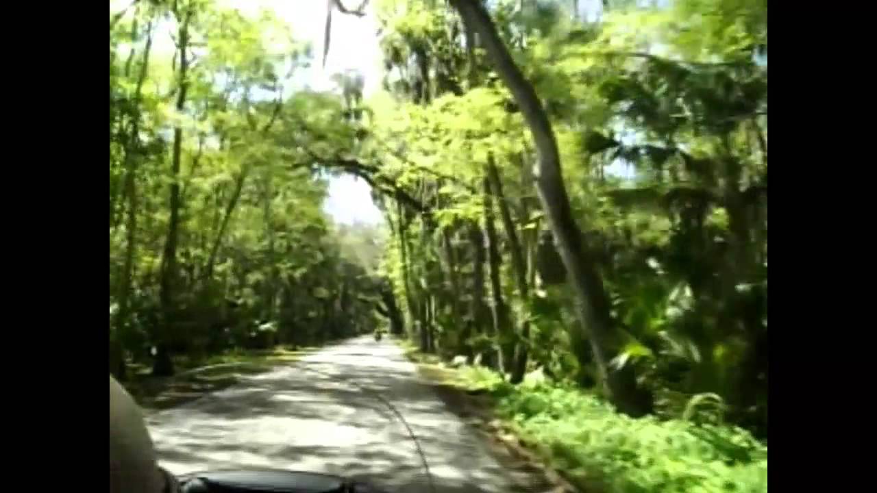 Daytona Bike Week 2015 - Riding the Loop - YouTube