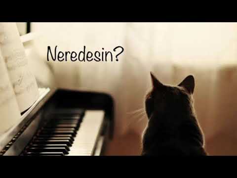 NEREDESİN - Piyano | Müzik ~ Şehla ASLAN
