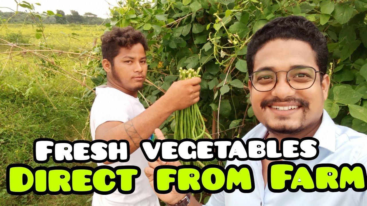 Fresh Vegetables Direct from Farm - YouTube