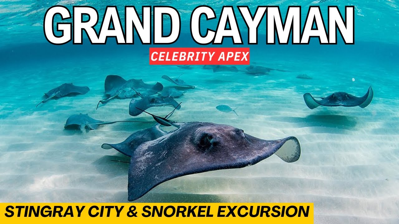 Celebrity Apex - Georgetown, Grand Cayman | Stingray City & Snorkel ...