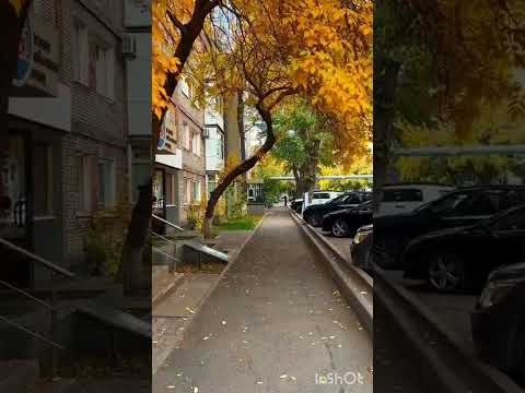 Kamil Ferecov Payız 2023