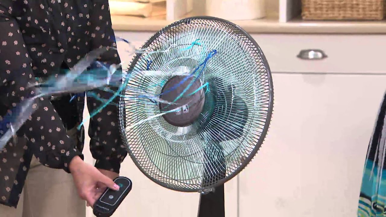 Rowenta Adjustable 16" Turbo Pedestal Fan with Remote with Dan Hughes ...