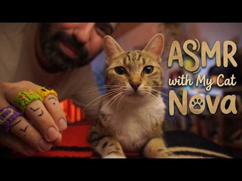 ASMR POV Kedimle Üst Vücut Bölgesi Masajı 🐾 (Hızlıca Uykuya Dalın)