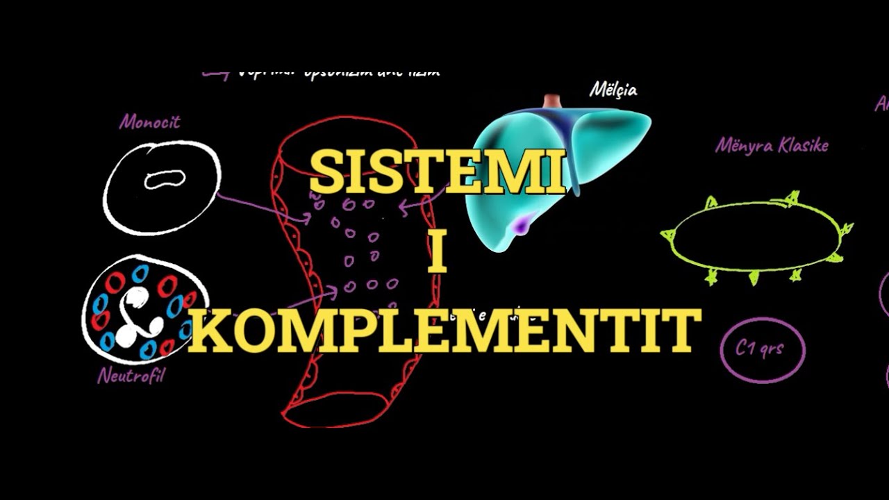 Sistemi i Komplementit -Imunologji - YouTube