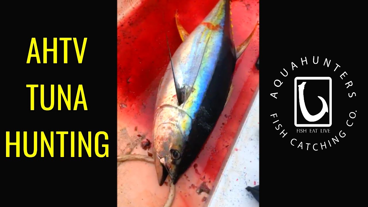 AQUAHUNTERS TV TUNA HUNTING ON THE MAHEA B - YouTube