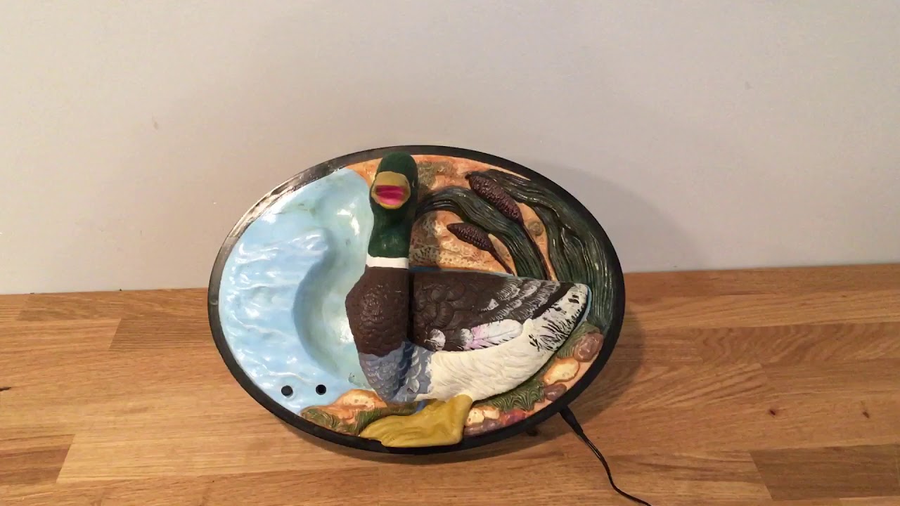 Very Rare! Dexter the singing Duck! - YouTube
