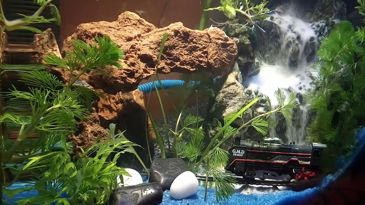 Aquarium waterfalls - YouTube