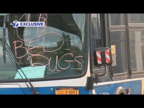 Some MTA buses out of service due to bed bug concerns - YouTube