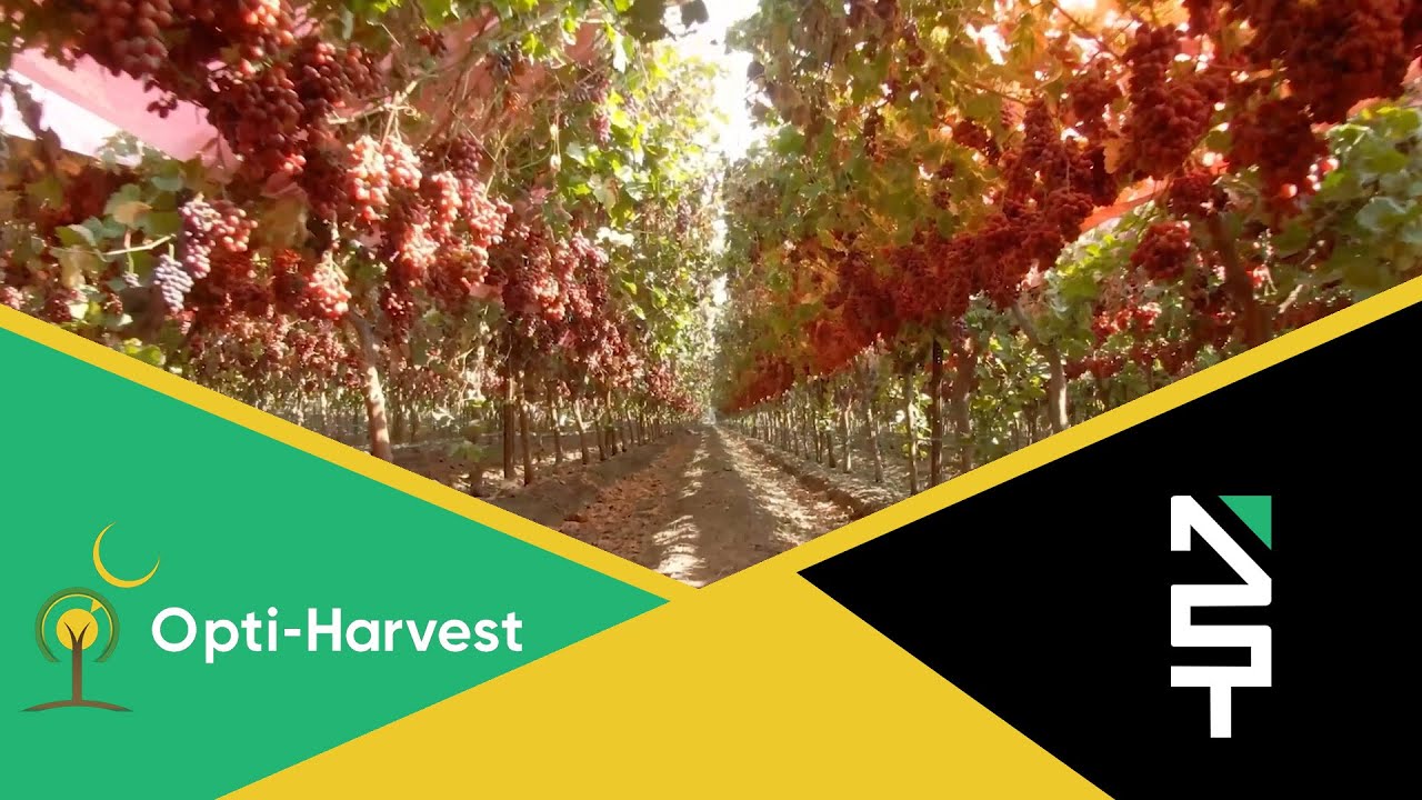 Revolutionizing Agriculture with Light Spectrum Science - Opti-Harvest ...