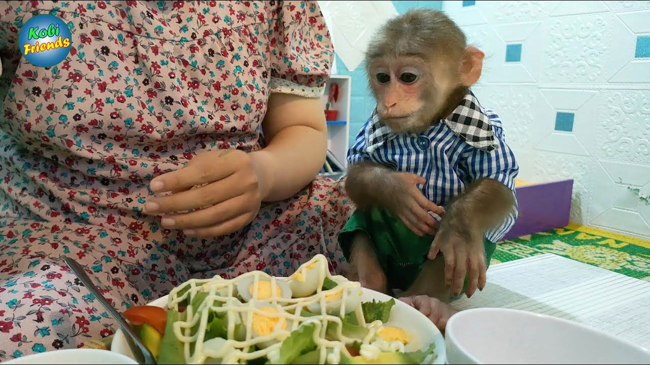 Kobi monkey cute reaction when eating new food - YouTube