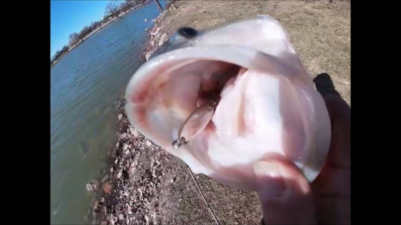 CATCH AND RELEASE INTO THE GREASE!(Temple Texas Fishing) - YouTube