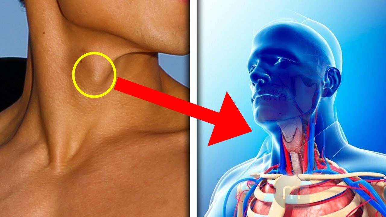 WEIRD Facts About The Male Body YouTube weird-facts-about-the-male-body-youtube