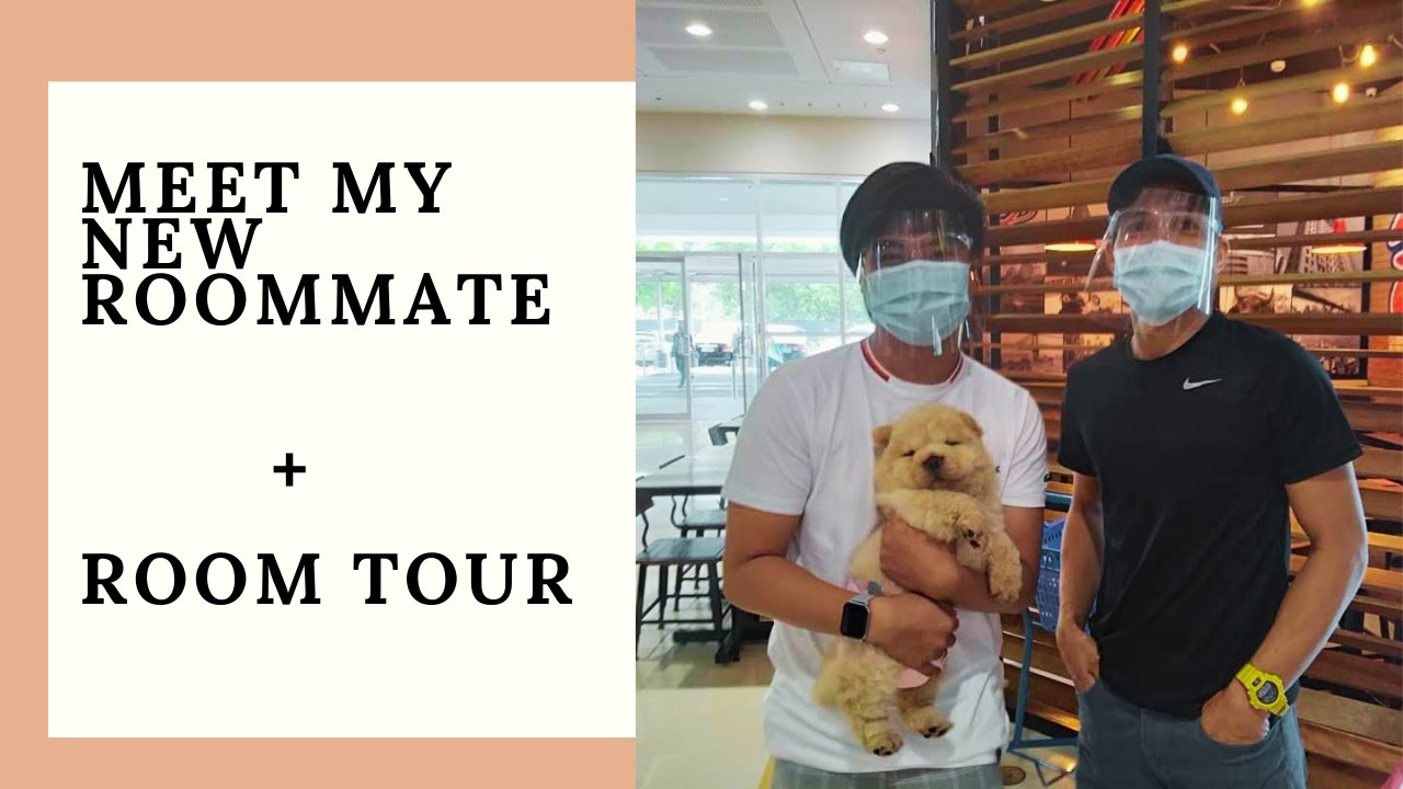 MEET MY NEW CHOW CHOW + ROOM TOUR | VLOG #16 | Ezekiel Lavares - YouTube