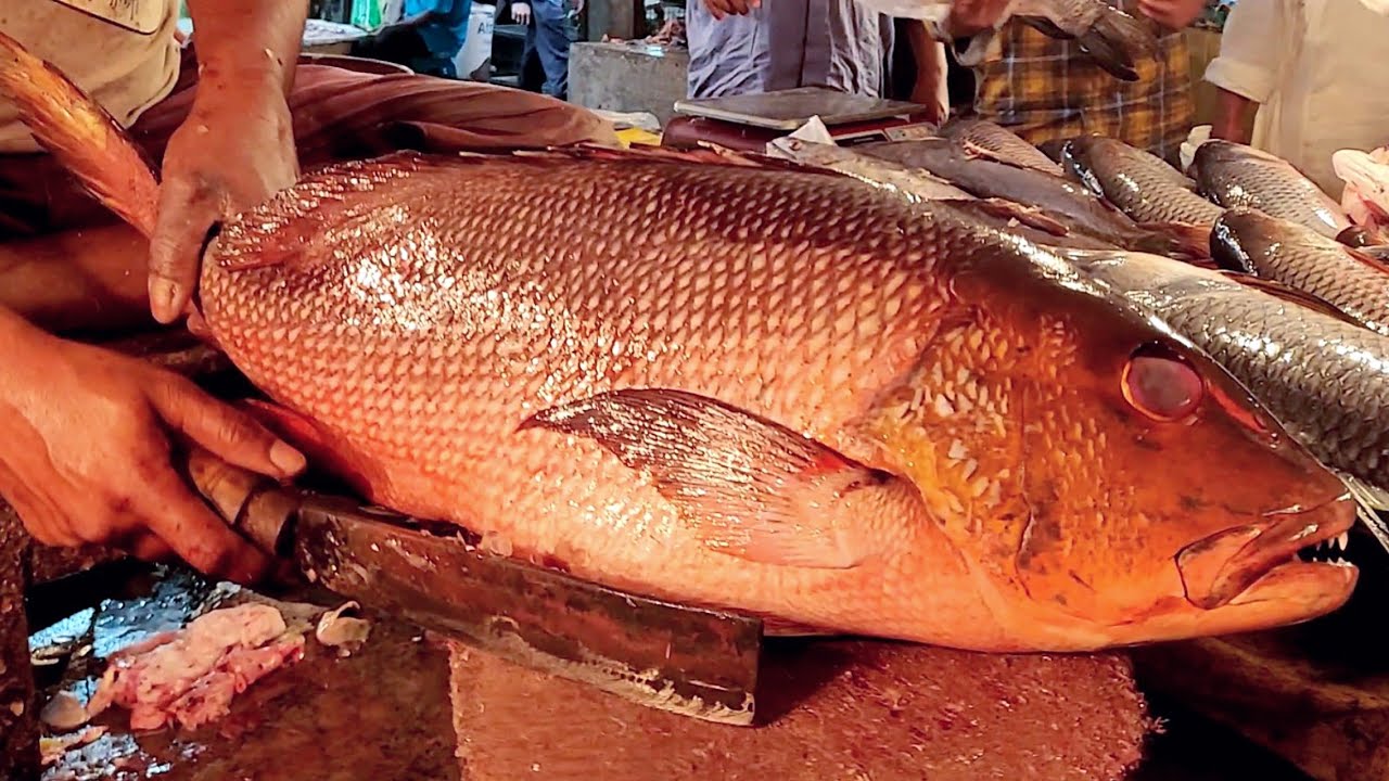 Amazing Cutting Skills | Big Red Snapper Fish Cutting & Chopping By ...