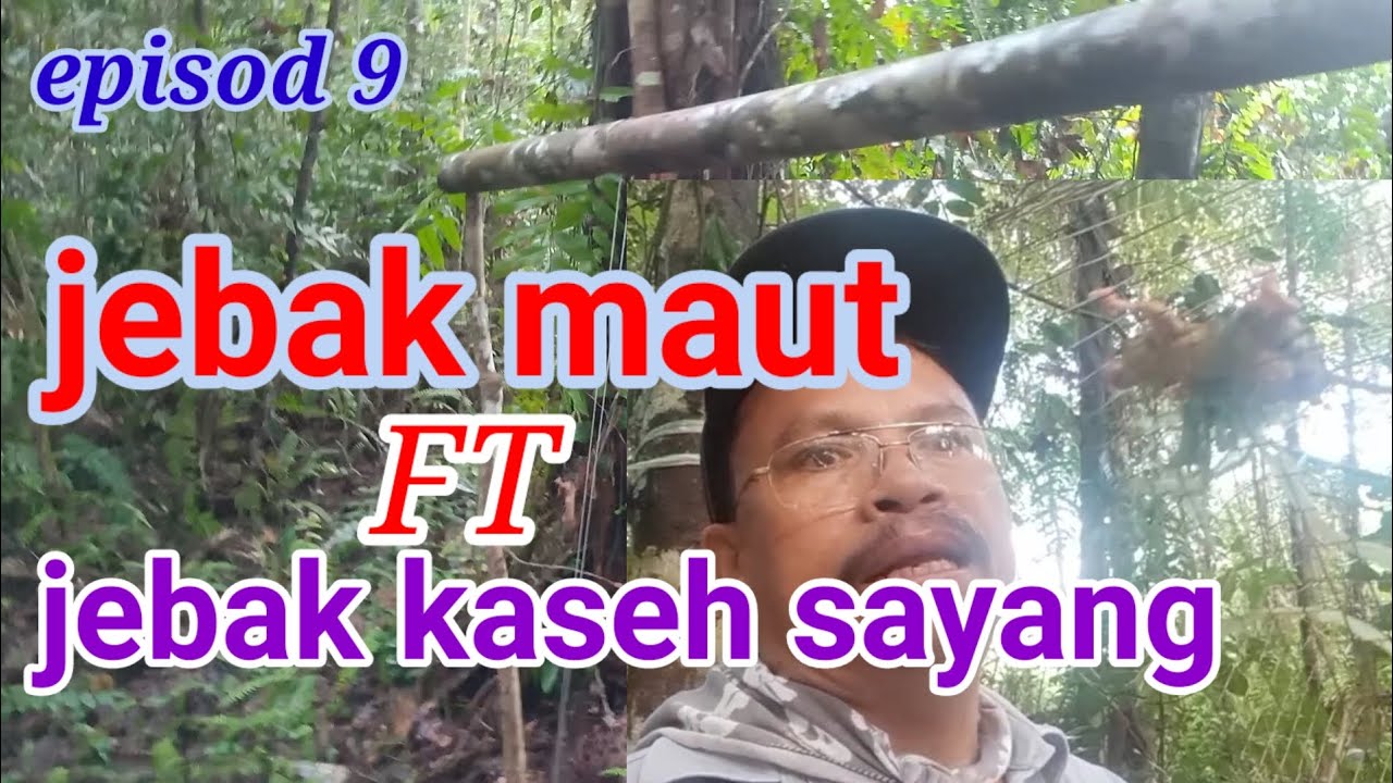 Jebak maut ft. Jebak kaseh sayang//menjebak tupai di Sibu (episod 9) ️👍 ...