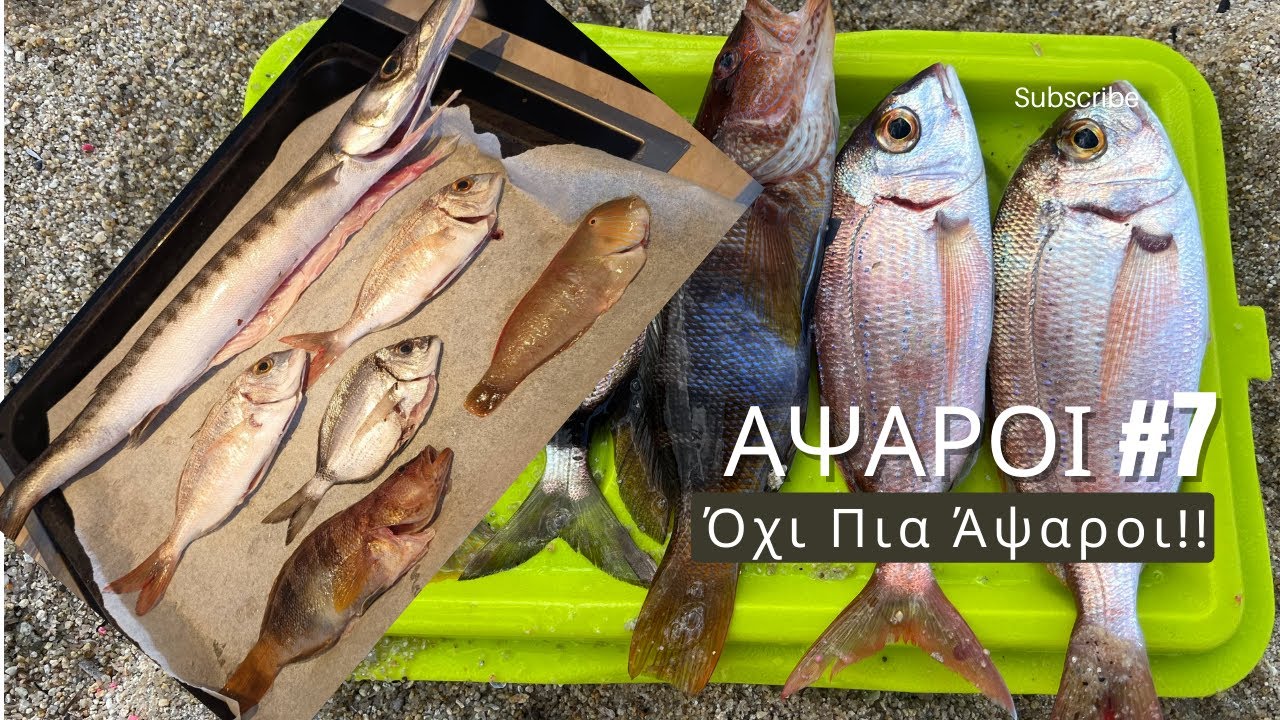 ΑΨΑΡΟΙ #7 ΛΙΘΡΙΝΙΑ Ή ΦΑΓΚΡΙΑ; - YouTube
