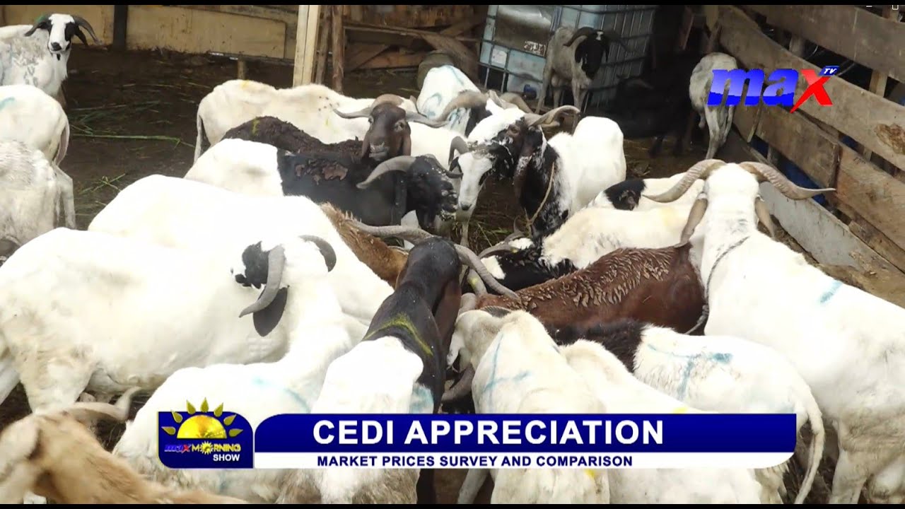 Cedi Appreciation: Prices of some livestock ahead of the Eid ...