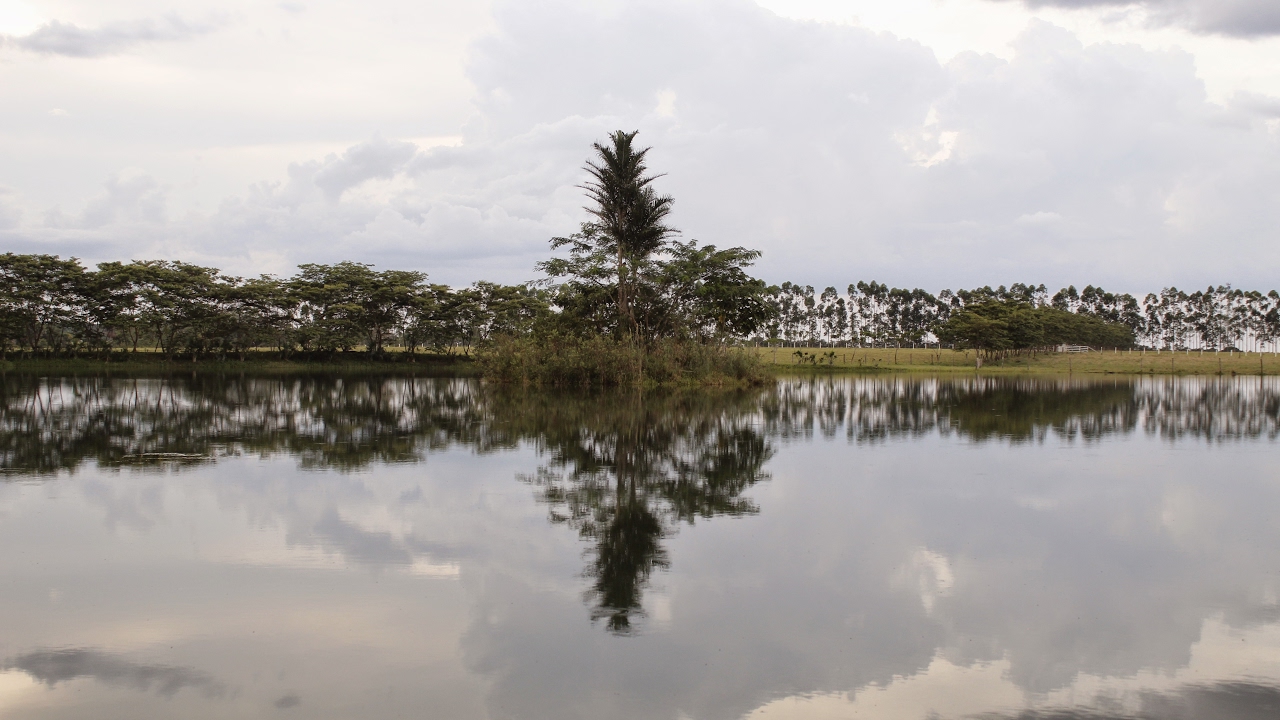 Protegemos, conservamos y preservamos nuestro medio ambiente en Puerto ...