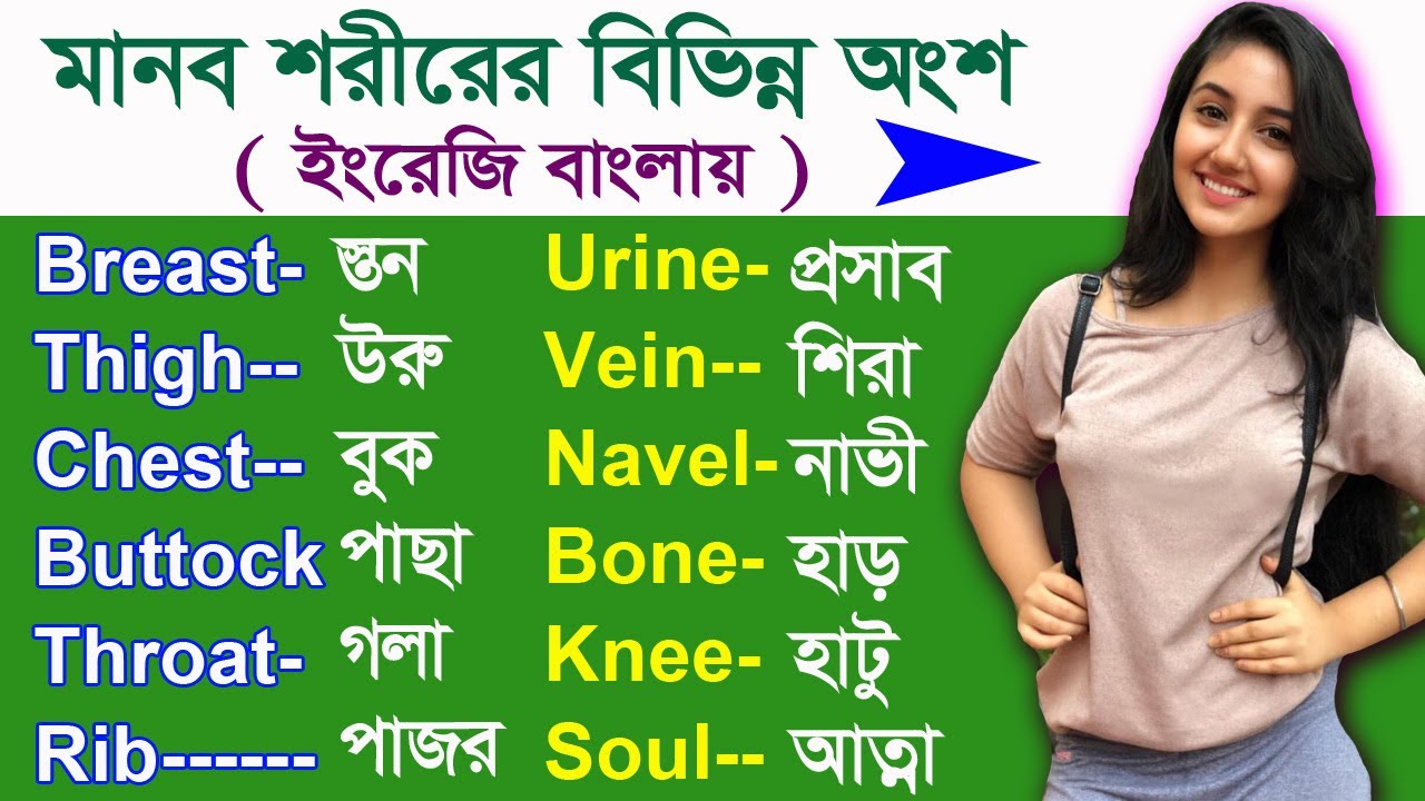 Body Parts Names In Bangla Body Parts Names Body Parts Body Parts body-parts-names-in-bangla-body-parts-names-body-parts-body-parts