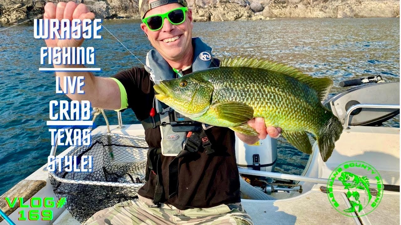 Wrasse Fishing | Ultra Light Texas Style | LIVE BAIT-Hardback Crab ...