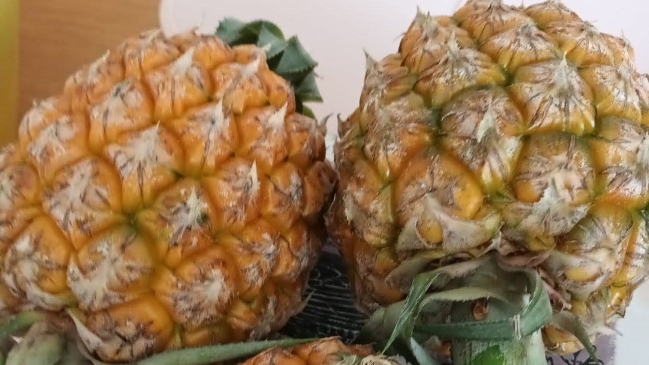 FRESH PINEAPPLE FROM CHINA - YouTube