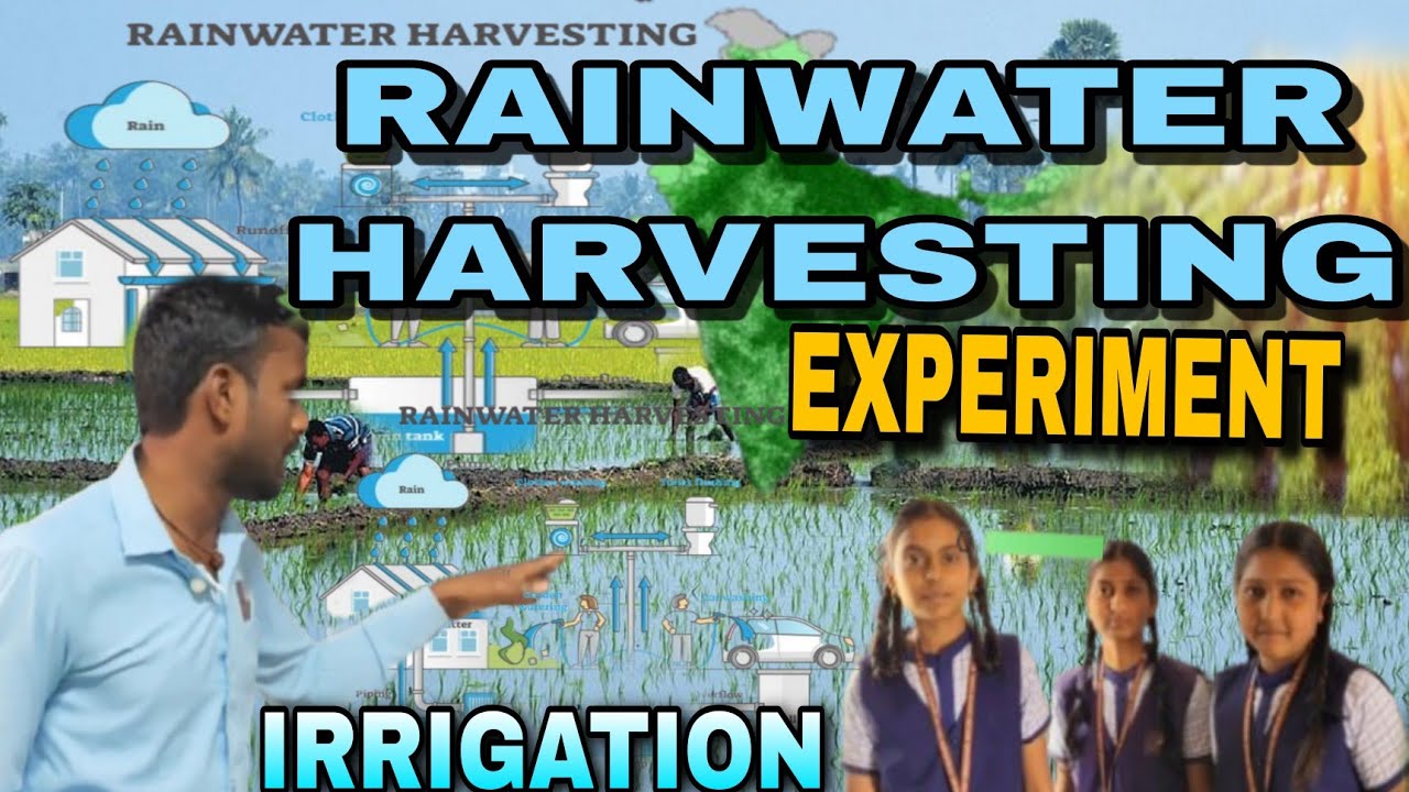 Rainwater Harvestigation Experiment | IRRIGATION #schoolexam #science ...