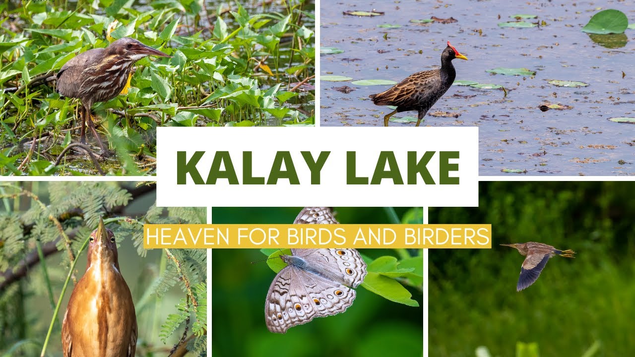 Visit to Kalay Lake | 10 Septmber 2023 | escape into the wild - YouTube
