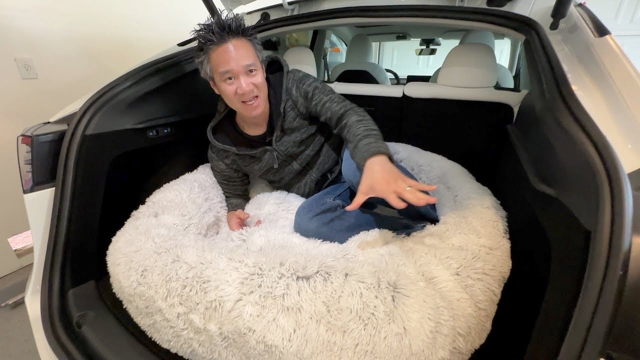BEST Pet Bed for TESLA Model Y! Extra Large for BIG DOGS! - YouTube