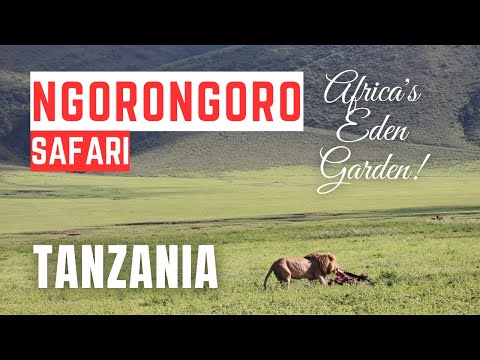 NGORONGORO TANZANIA