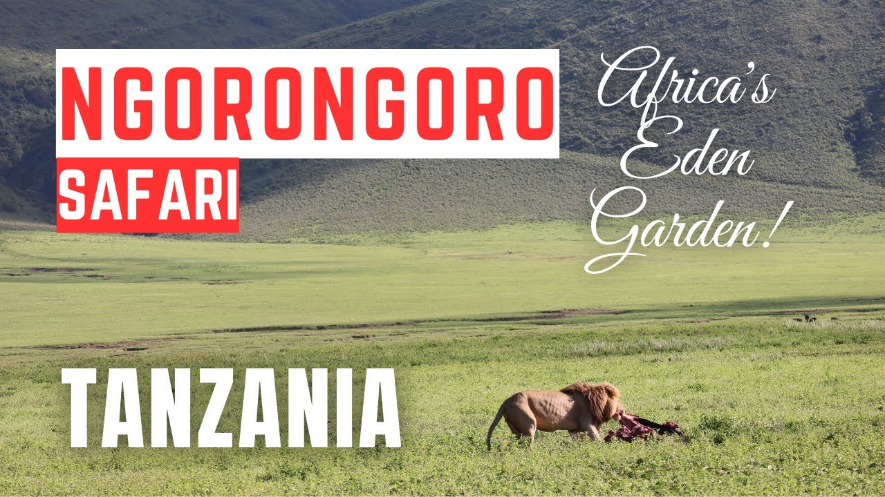 NGORONGORO TANZANIA - YouTube